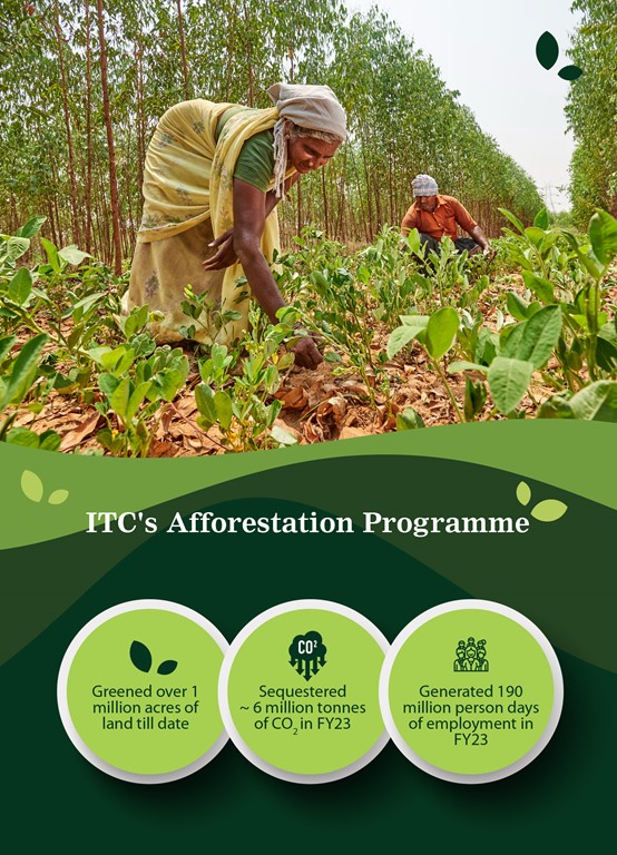 ITC Paperboards and Specialty Papers Division - Plantations